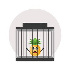 The Infamous Pineapple and Bail Bonds Story– Allergic To Handcuffs